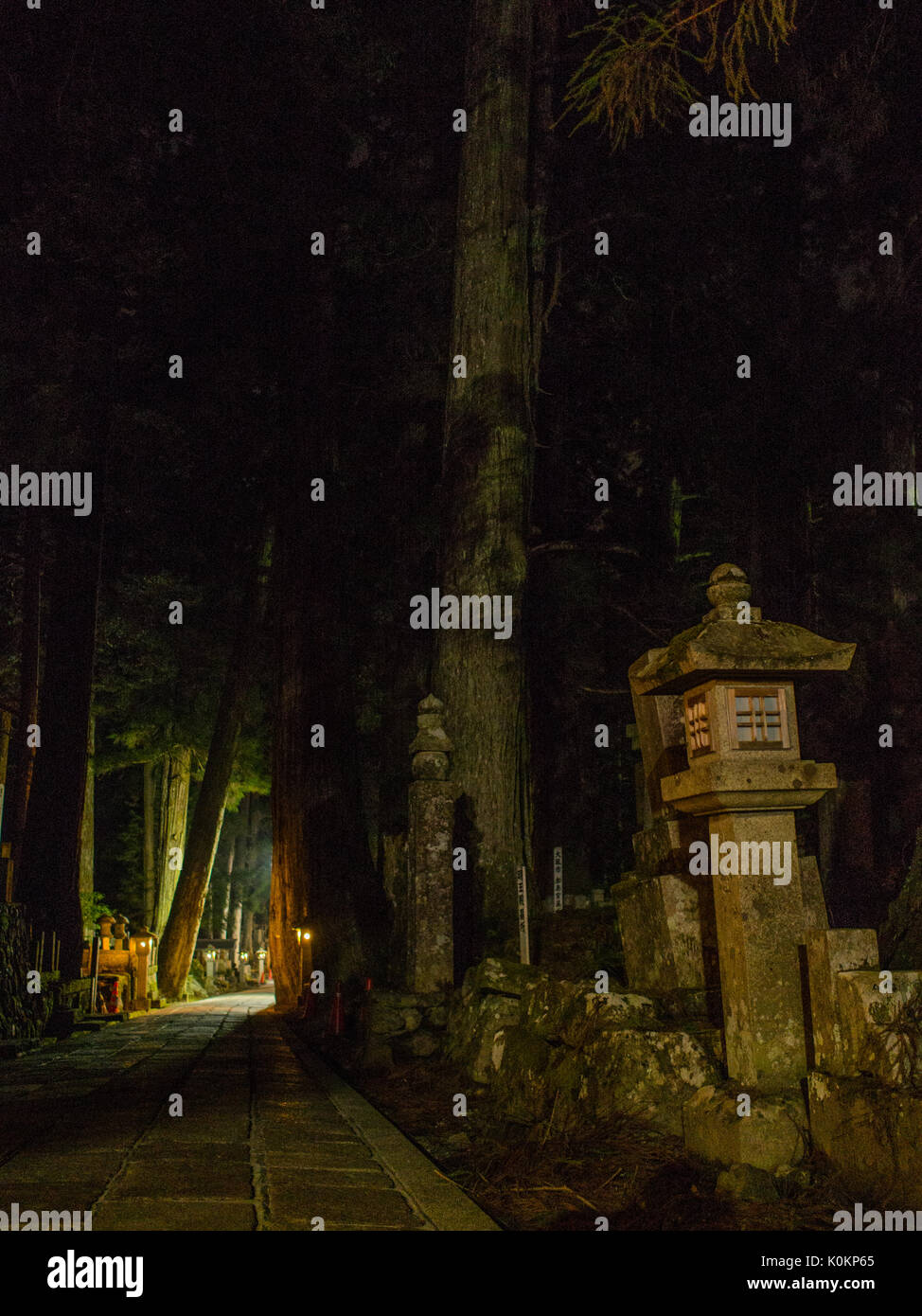 At night, paving stone path through grave markers among giant sugi ...