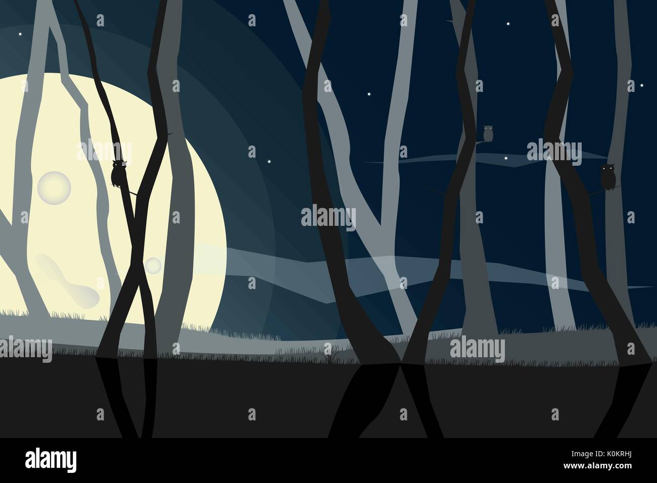 Moon night wild forest with owls.Vector illustration Stock Vector Image ...