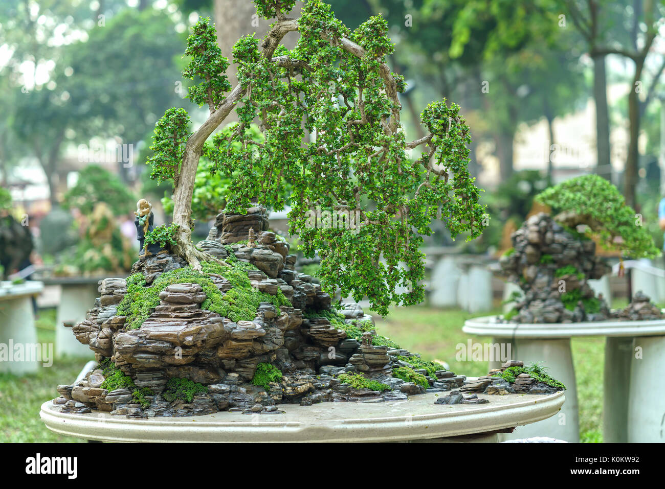 Bonsai and Penjing with miniature beautiful in nature Stock Photo - Alamy