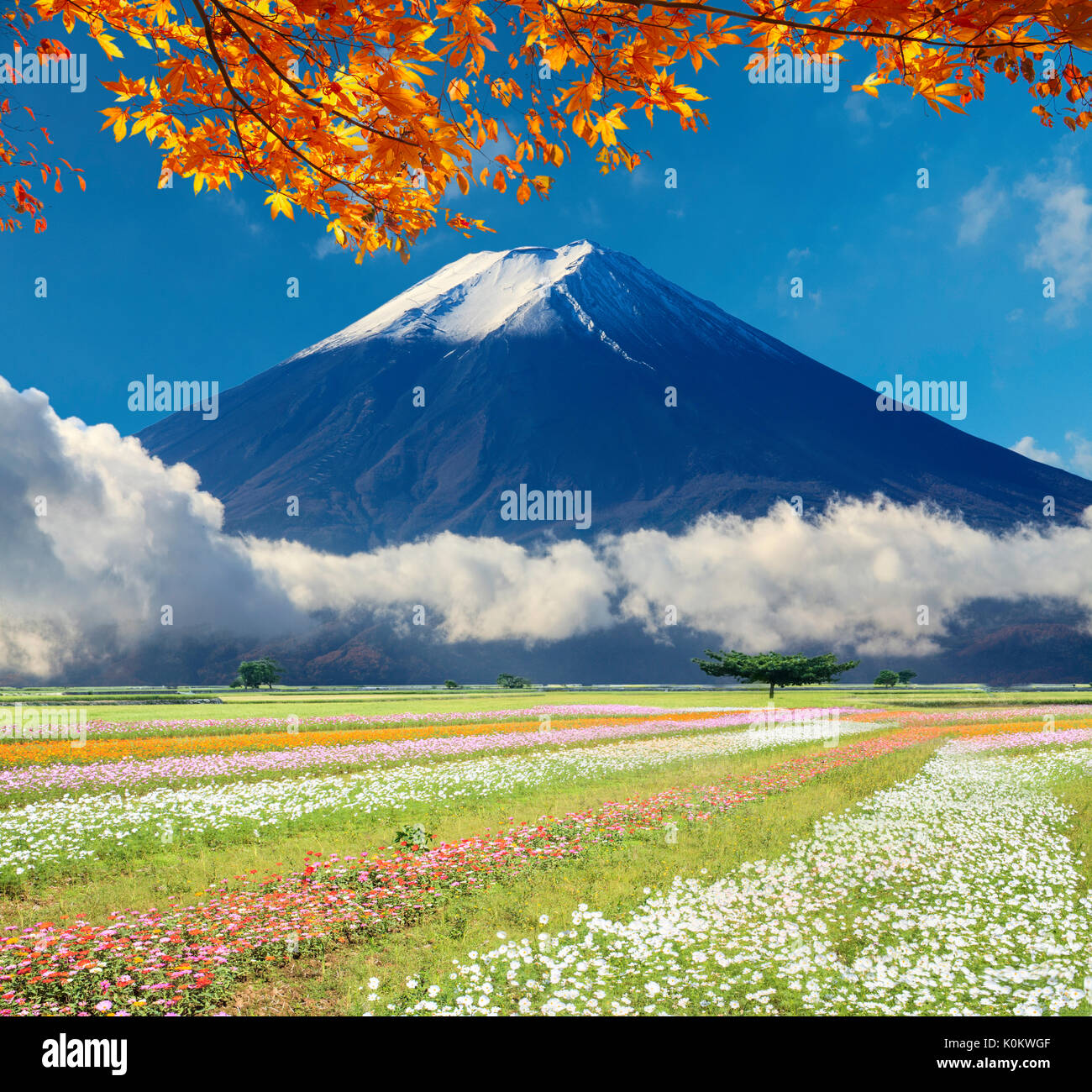 The image of beautiful landscapes with very nice color and background ...