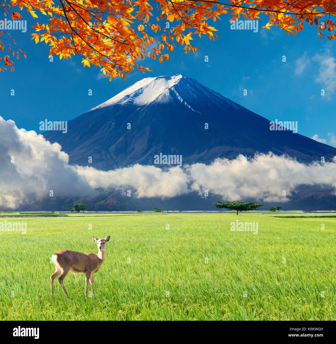 The image of beautiful landscapes with very nice color and background ...