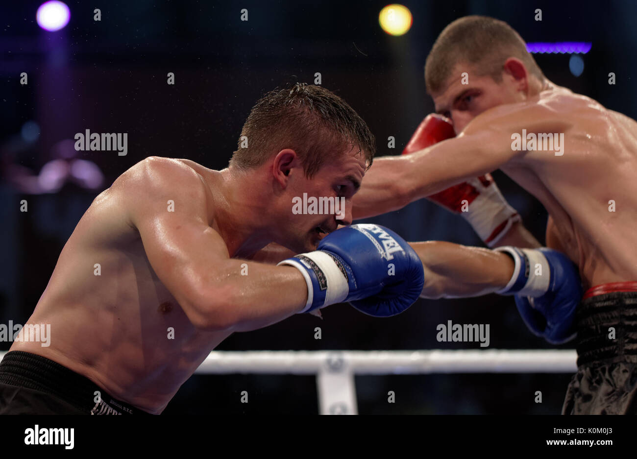 Professional boxing ukraine hi-res stock photography and images - Alamy