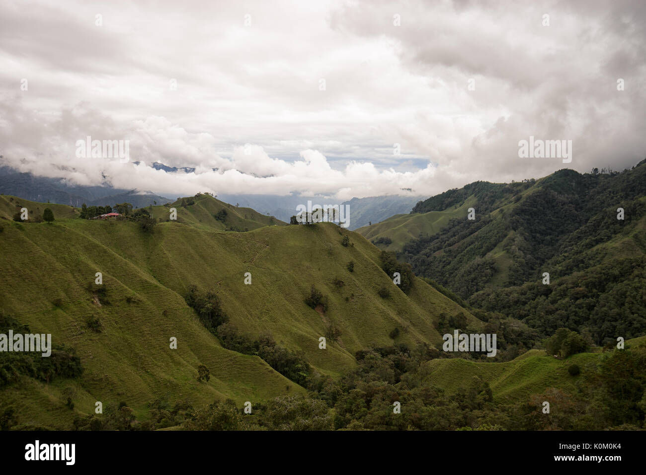 panoramic view of the Andes in the state of TOlima in Colombia Stock ...