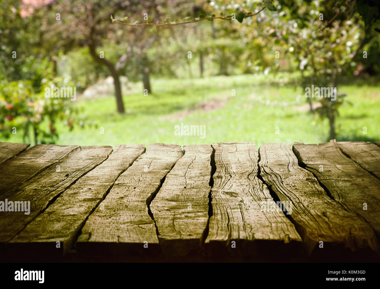 Spring green background. Garden and orchard art Design. Summer ...