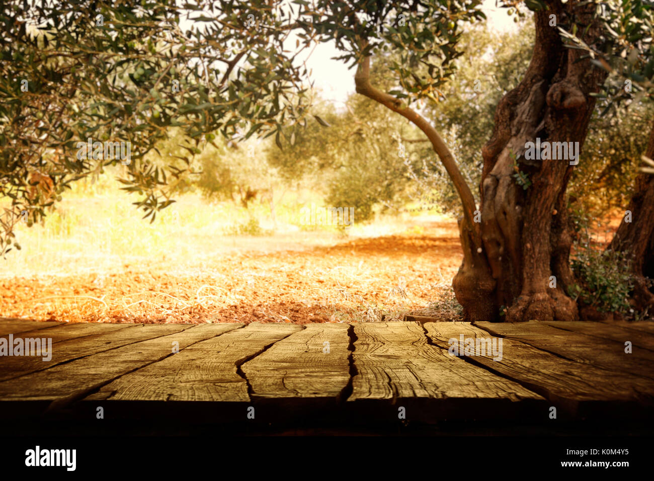 Wooden table with olive tree Stock Photo - Alamy
