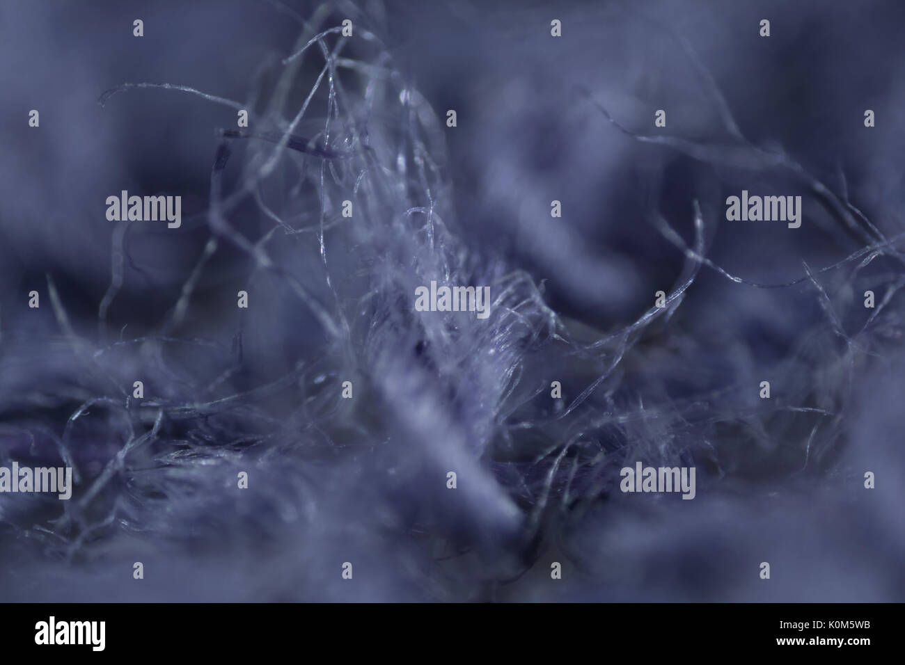 Micro texture hi-res stock photography and images - Alamy