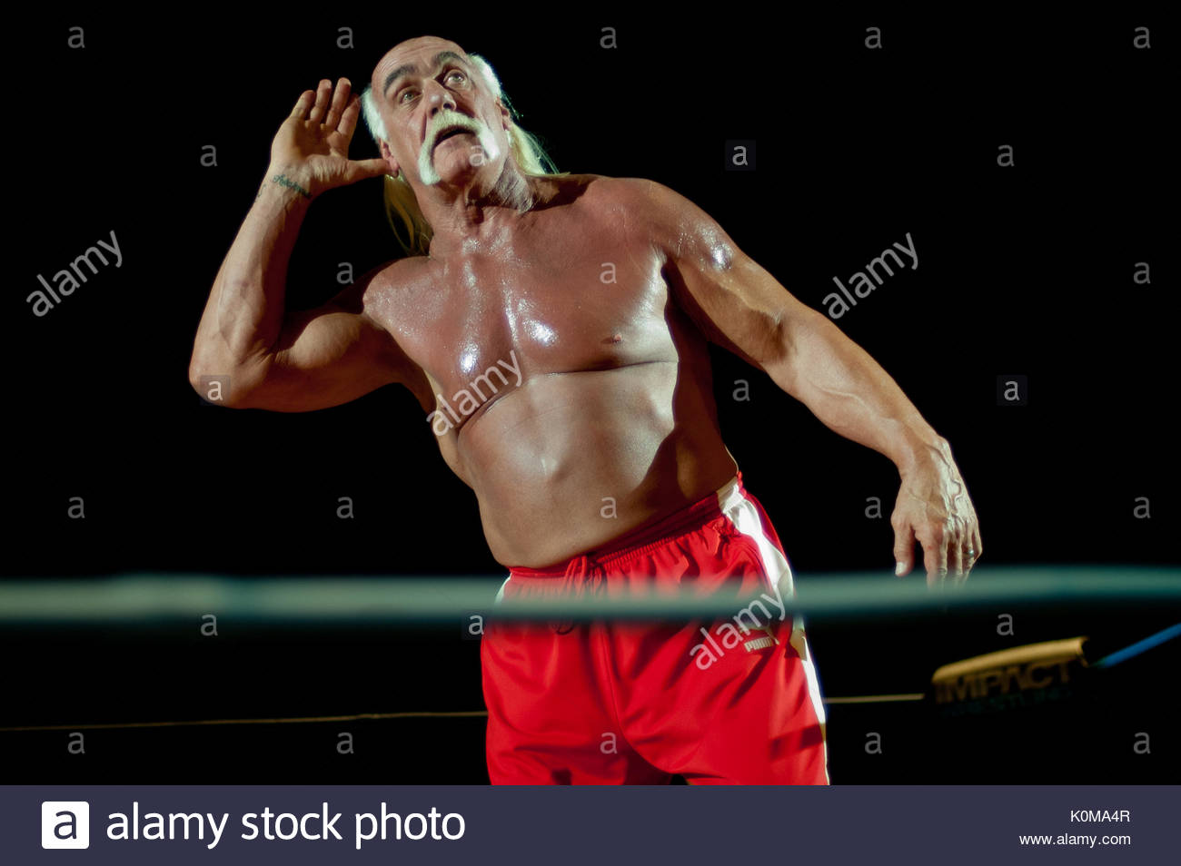 Hulk Hogan Wrestling Stock Photos & Hulk Hogan Wrestling Stock Images ...