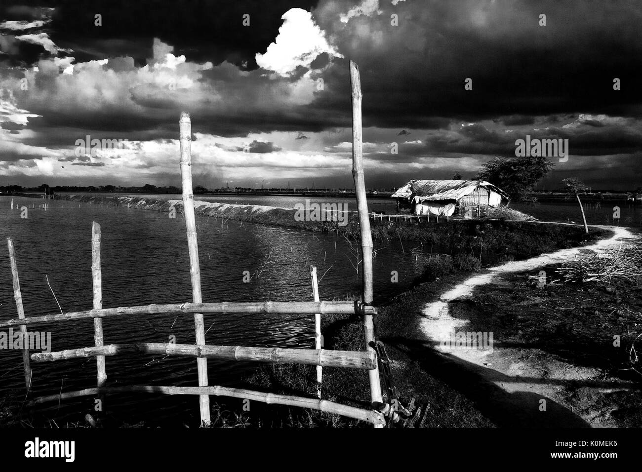 Rajarhat kolkata hi-res stock photography and images - Alamy