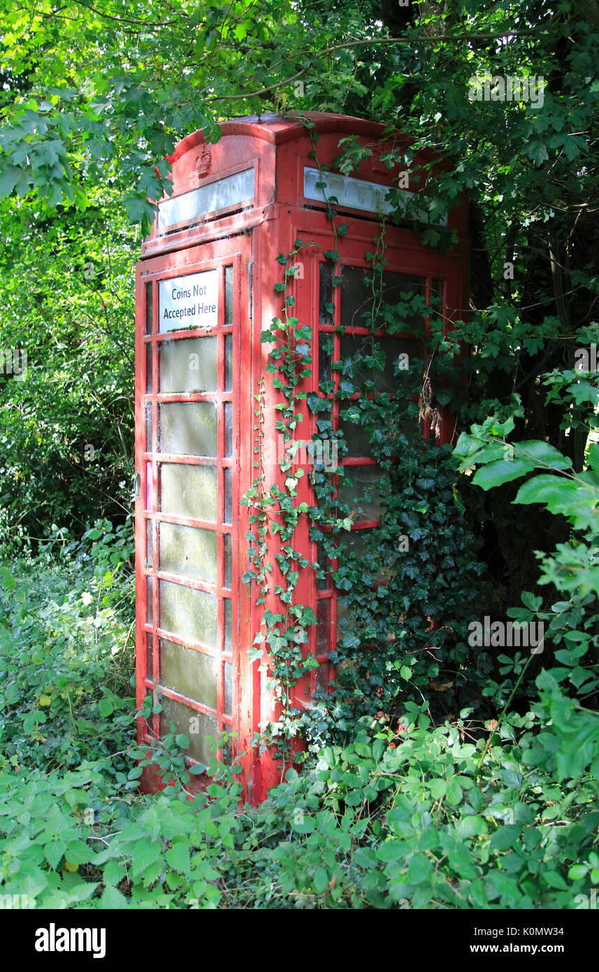 Overgrown rural red traditional phone box, Hoo, Suffolk, England, UK ...