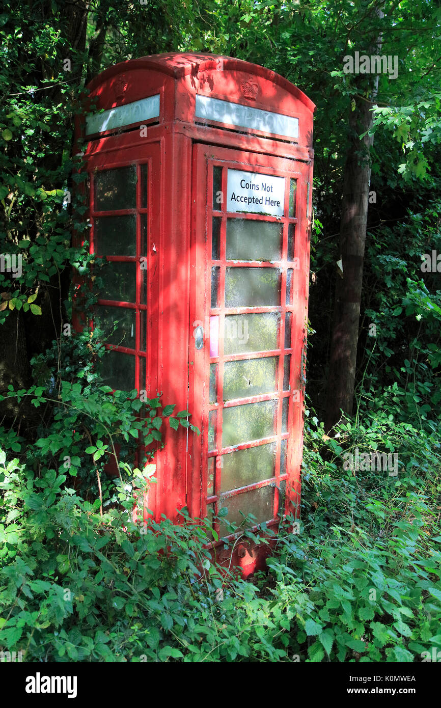 Overgrown Area England High Resolution Stock Photography and Images - Alamy
