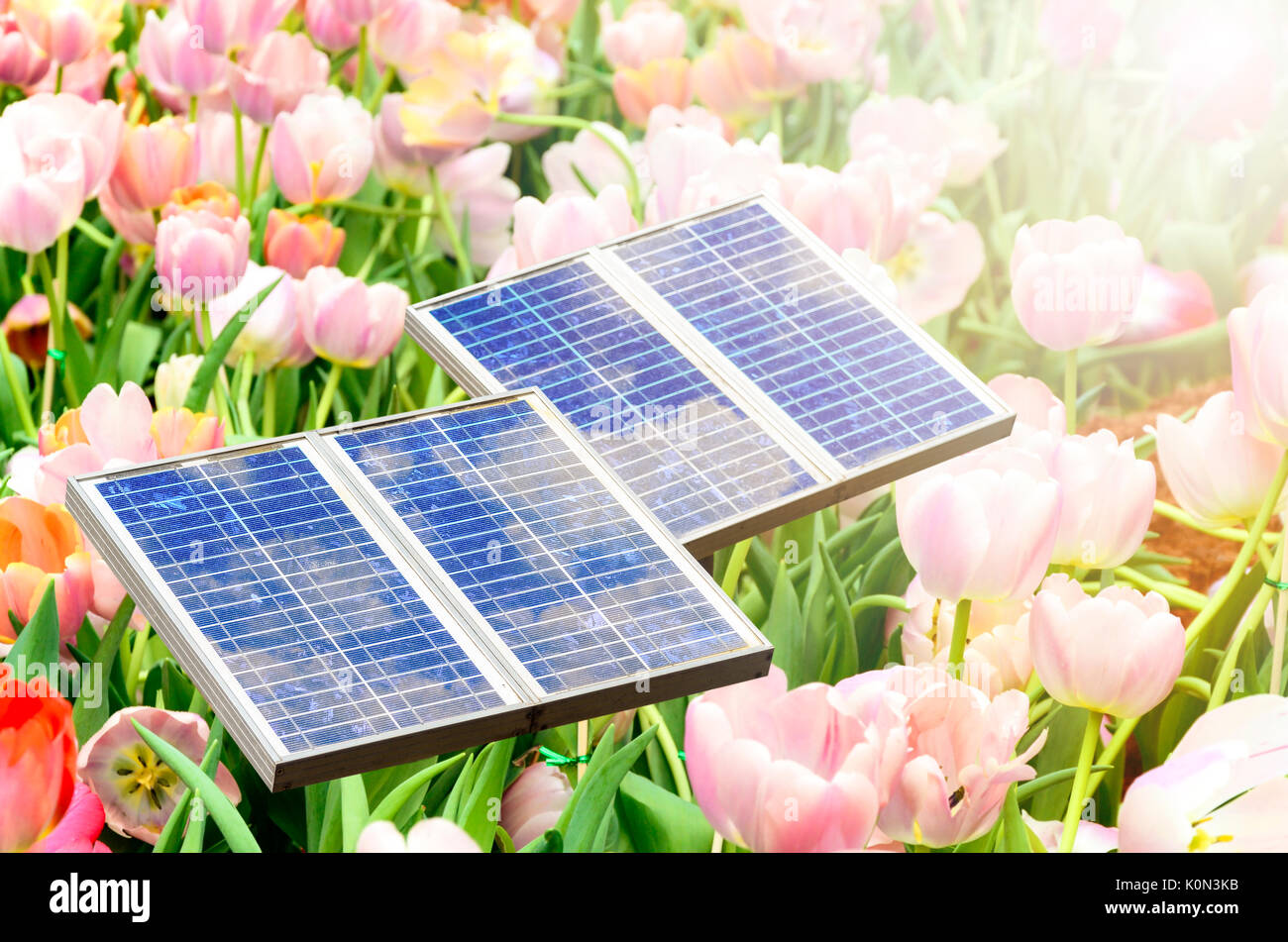 Beautiful small solar garden hi-res stock photography and images - Alamy