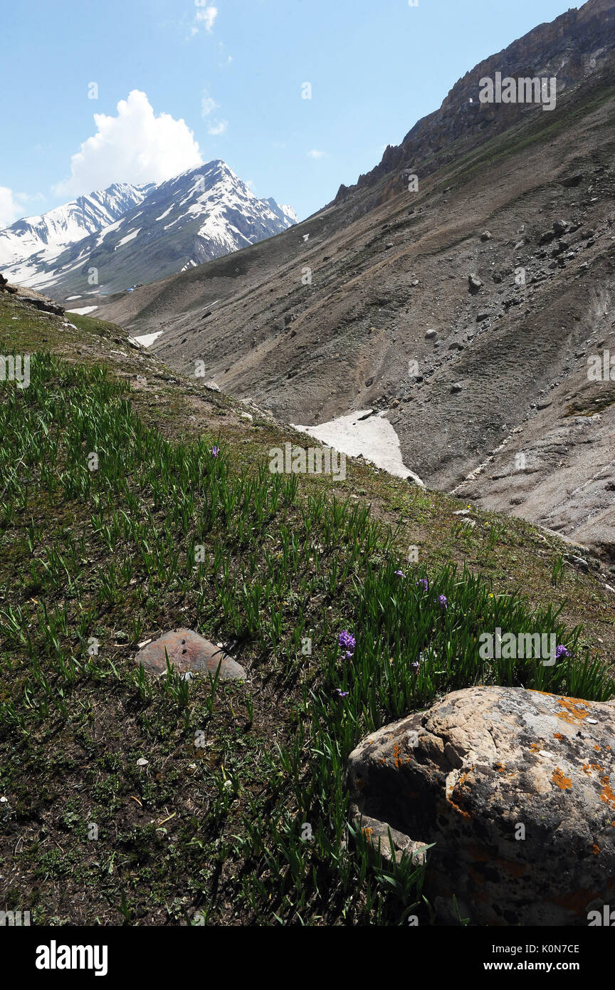 pabibal to panchtarni, amarnath yatra, Jammu Kashmir, India, Asia Stock ...