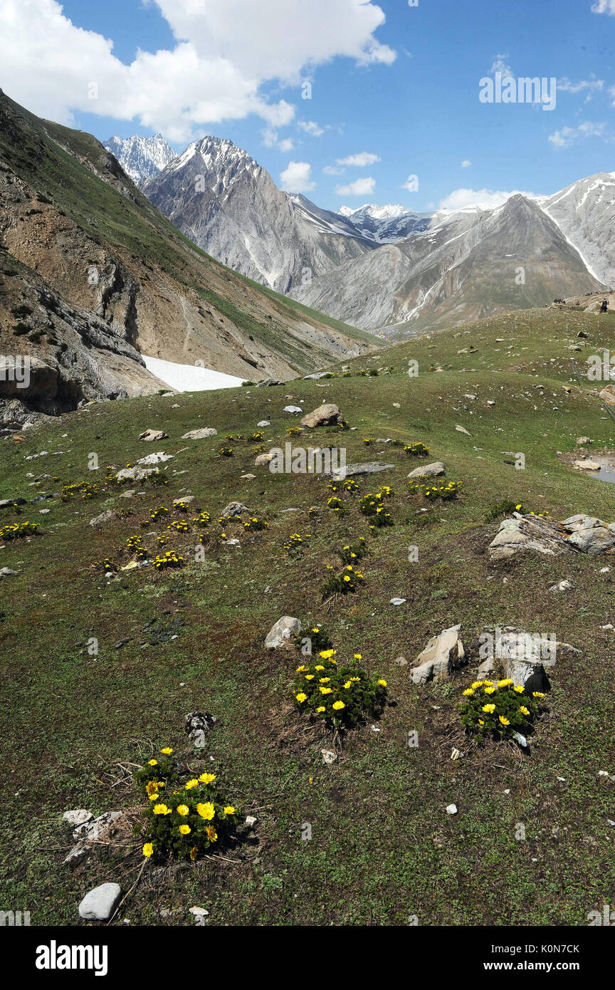 pabibal to panchtarni, amarnath yatra, Jammu Kashmir, India, Asia Stock ...