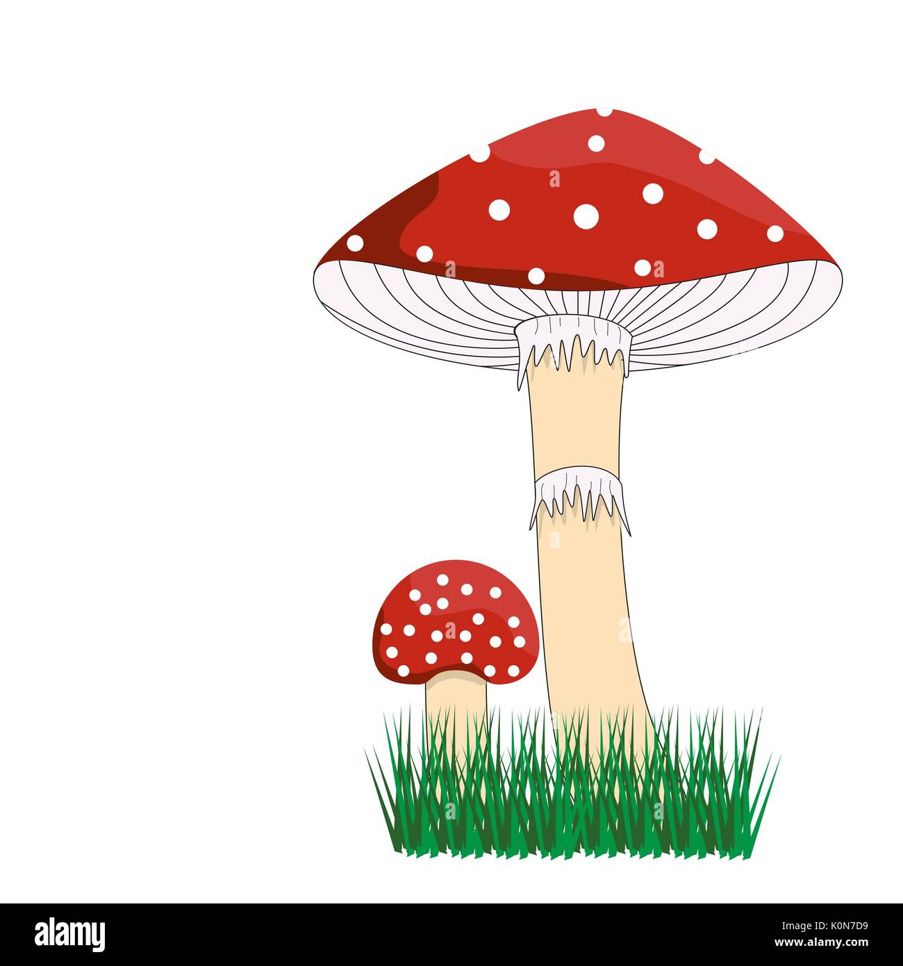 Vector illustration of poisonous mushroom - red toadstool Stock Vector ...