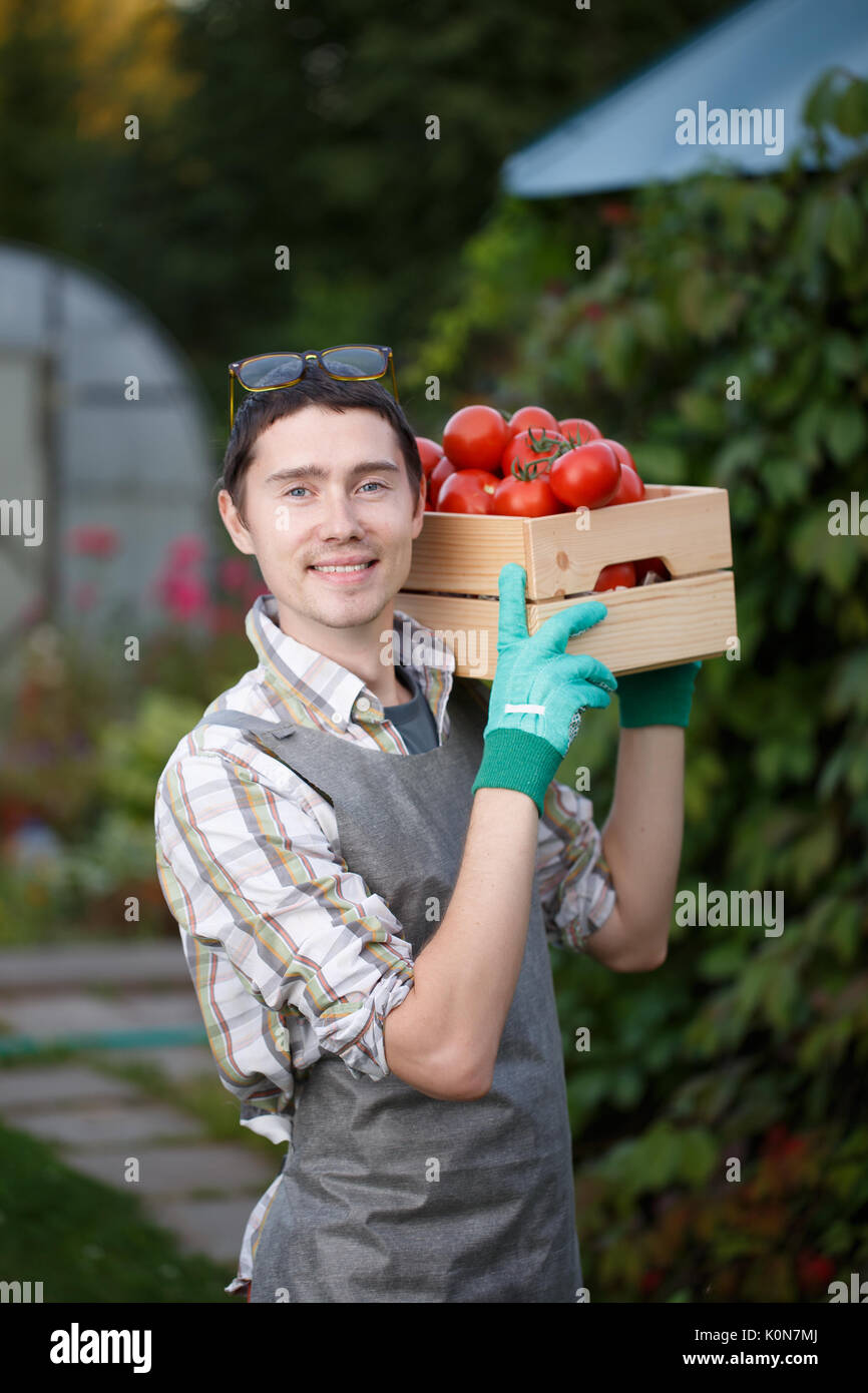 Agronomist man harvesting crop hi-res stock photography and images - Alamy