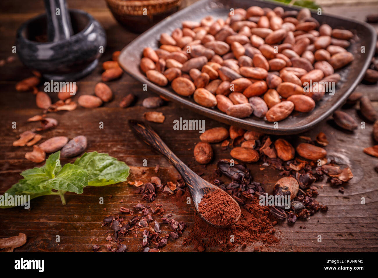 Cacao plant vintage hi-res stock photography and images - Alamy