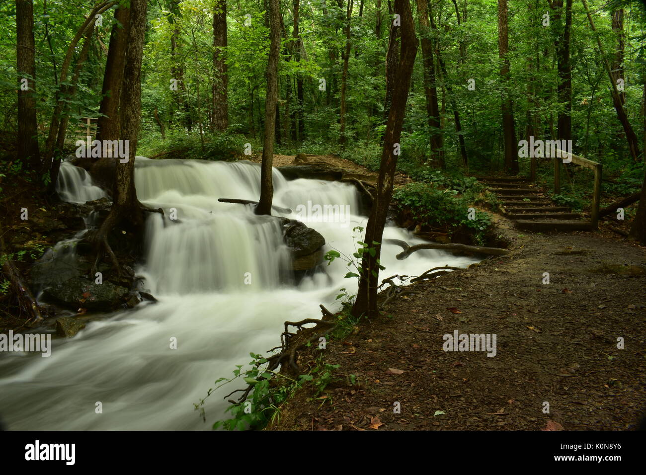 Waterfall and trees hi-res stock photography and images - Alamy