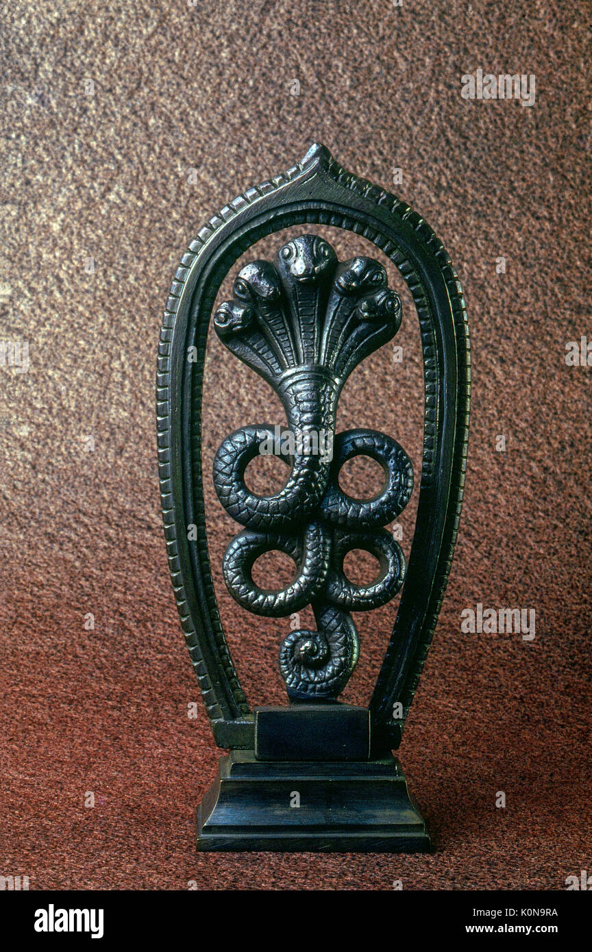 Snakes of maharashtra hi-res stock photography and images - Alamy