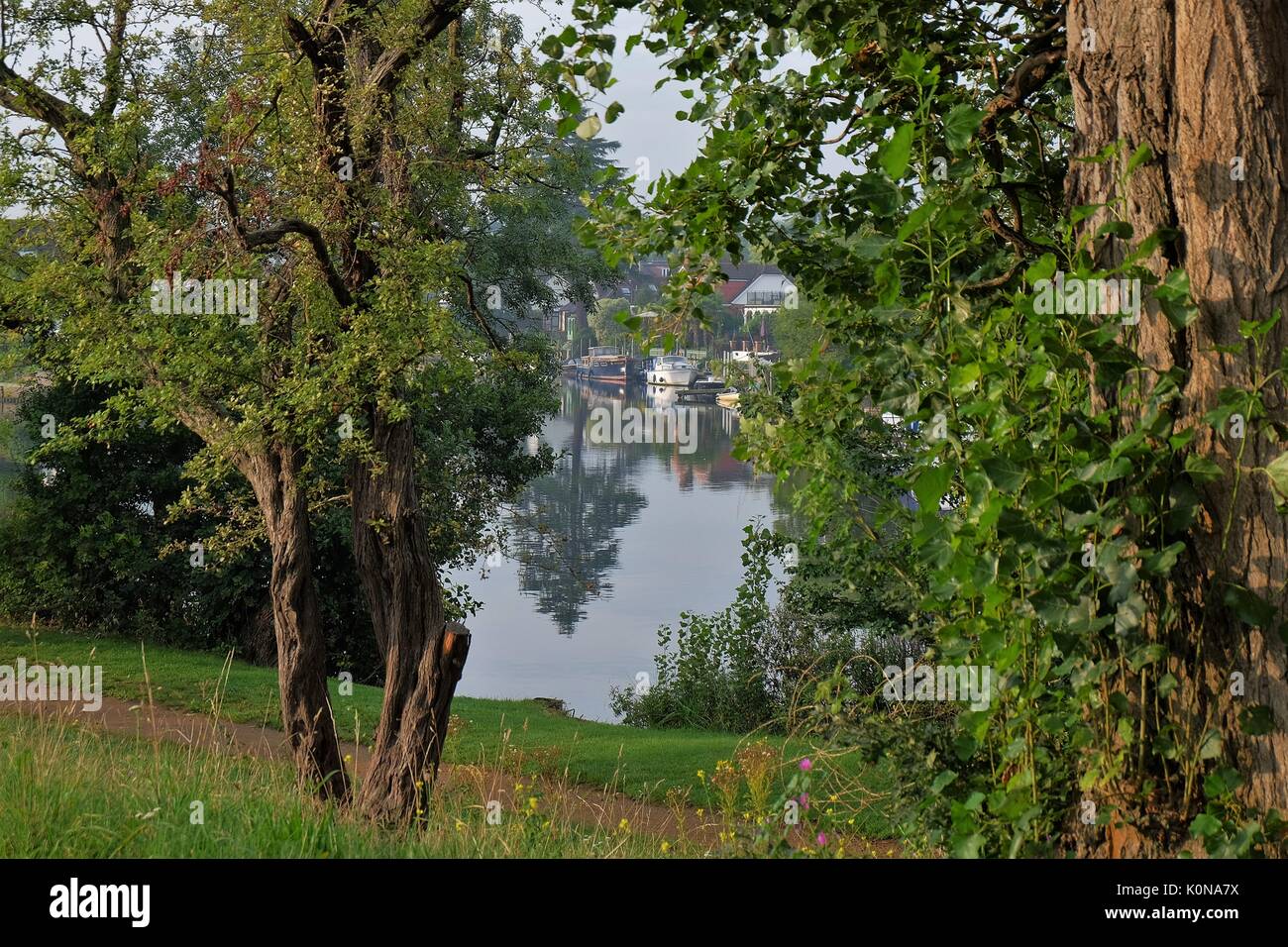 reflections in river thames Stock Photo - Alamy