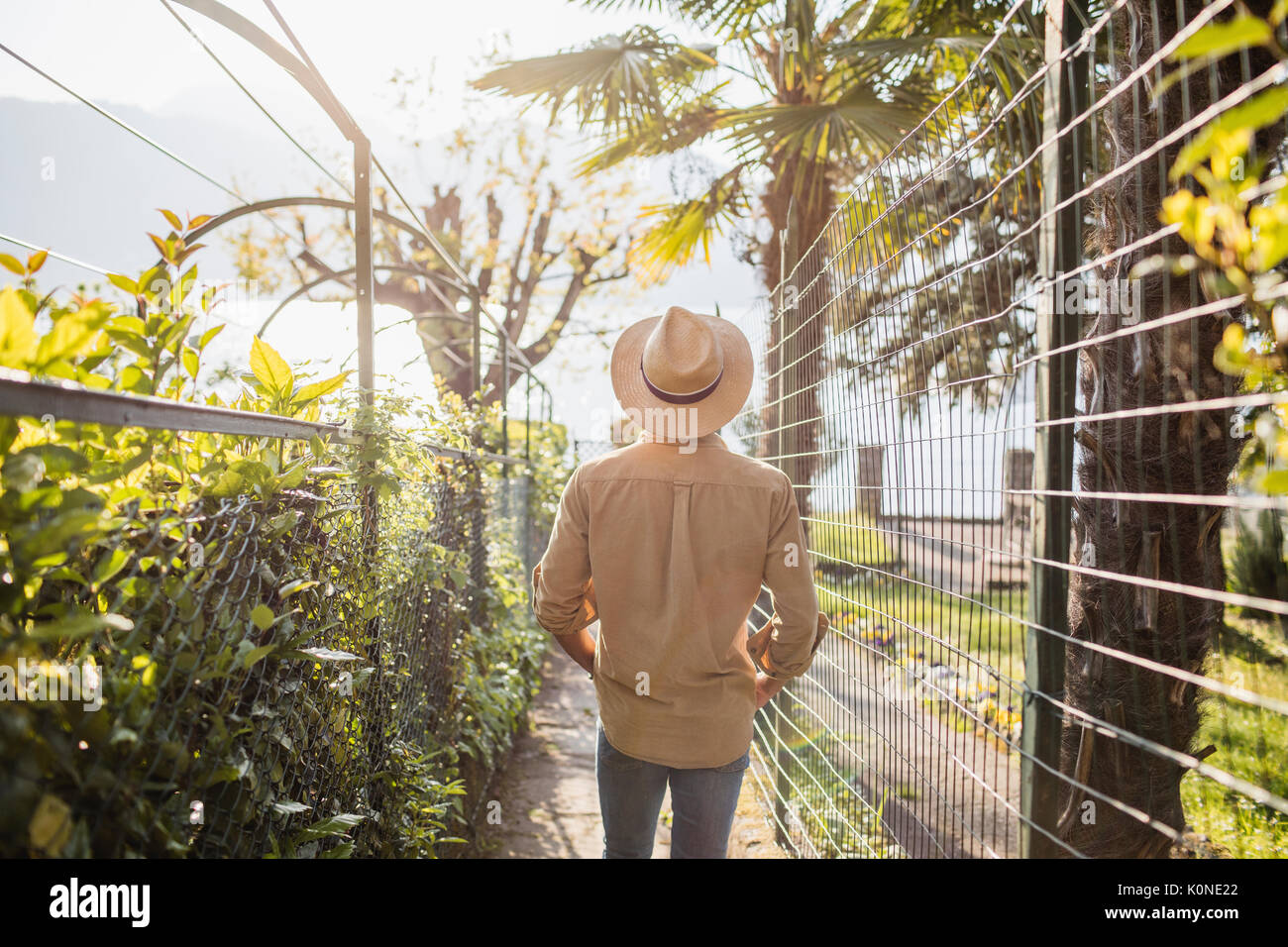 Back view of man walking in the garden Stock Photo - Alamy