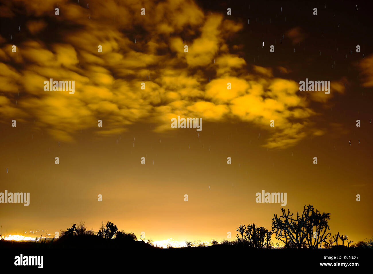 Light pollution at night Stock Photo - Alamy