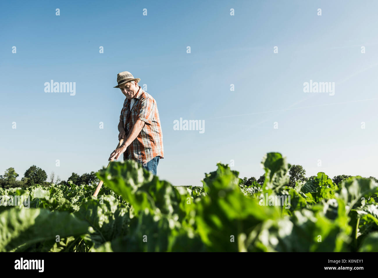 Farmer occupation people action hi-res stock photography and images - Alamy
