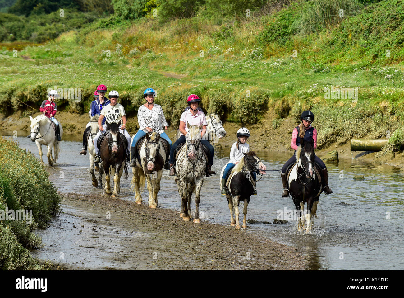 Pony trekking along the Gannel River and tidal estuary in Newquay in ...
