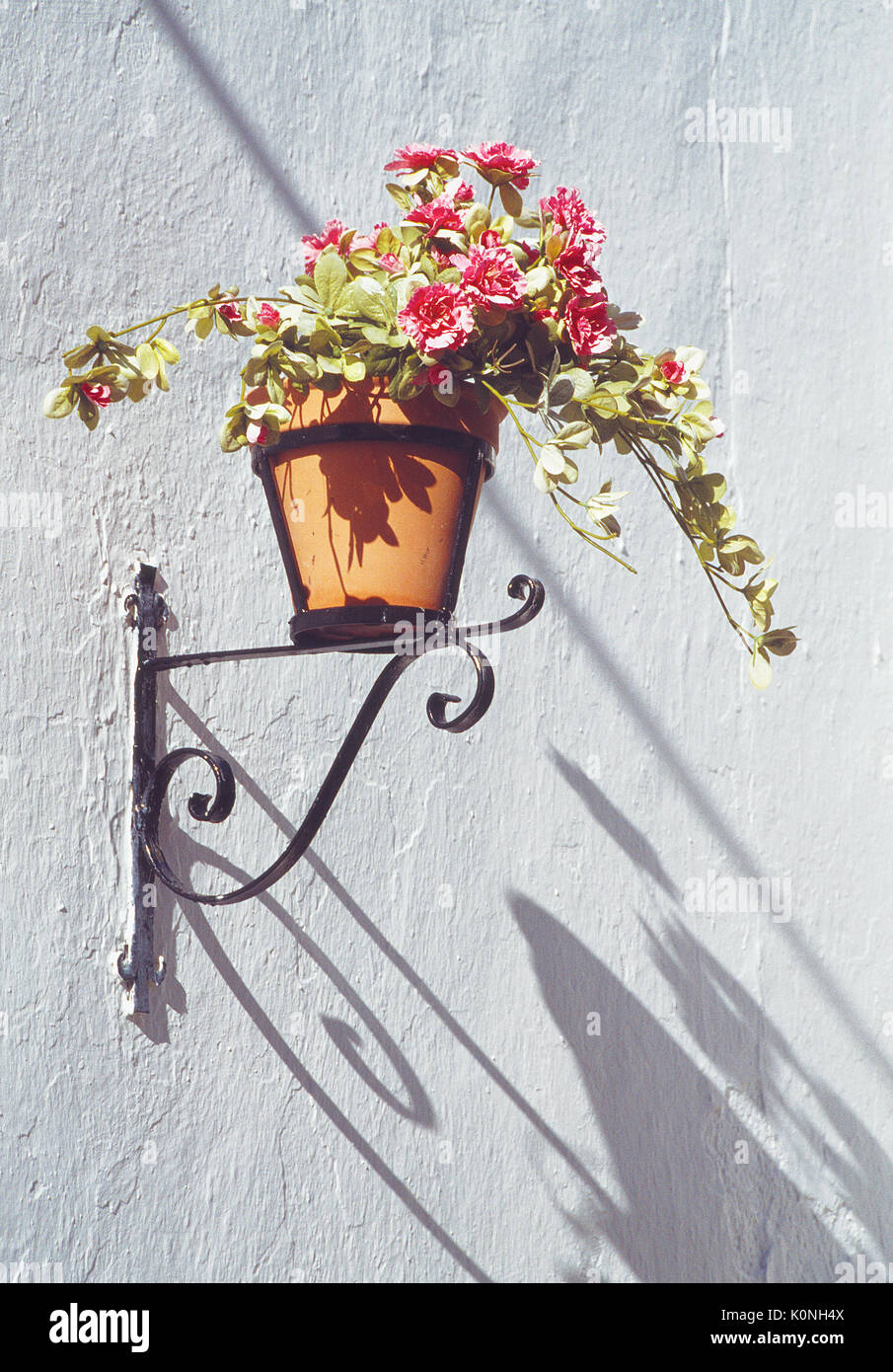Plant pot and its shadow on whitewashed wall. Zuheros, Cordoba province ...