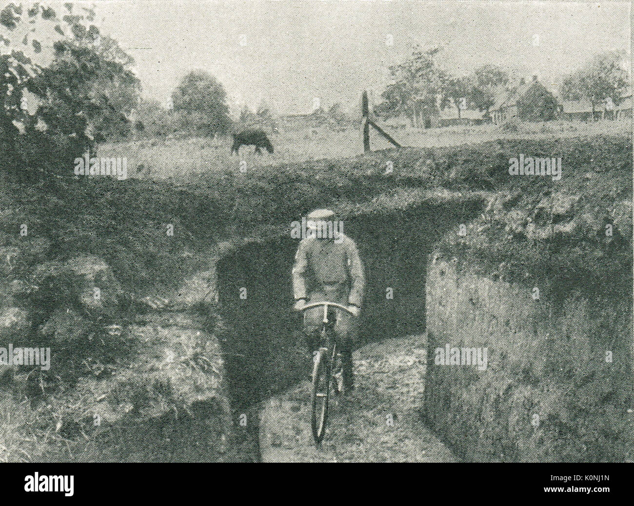 Cycling in a communications trench, WW1 Stock Photo - Alamy