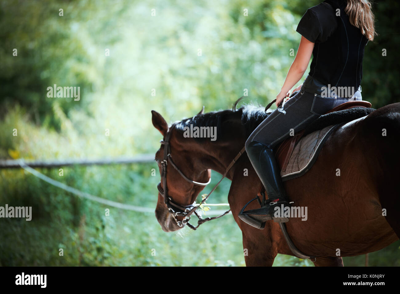 Woman riding horse back hi-res stock photography and images - Alamy