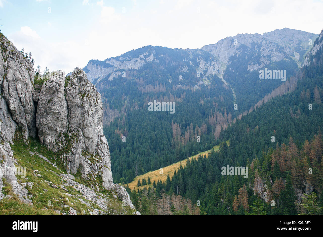 Big Tatry at Poland and Slovakia. Wild animals, beutiful nature, lakes ...