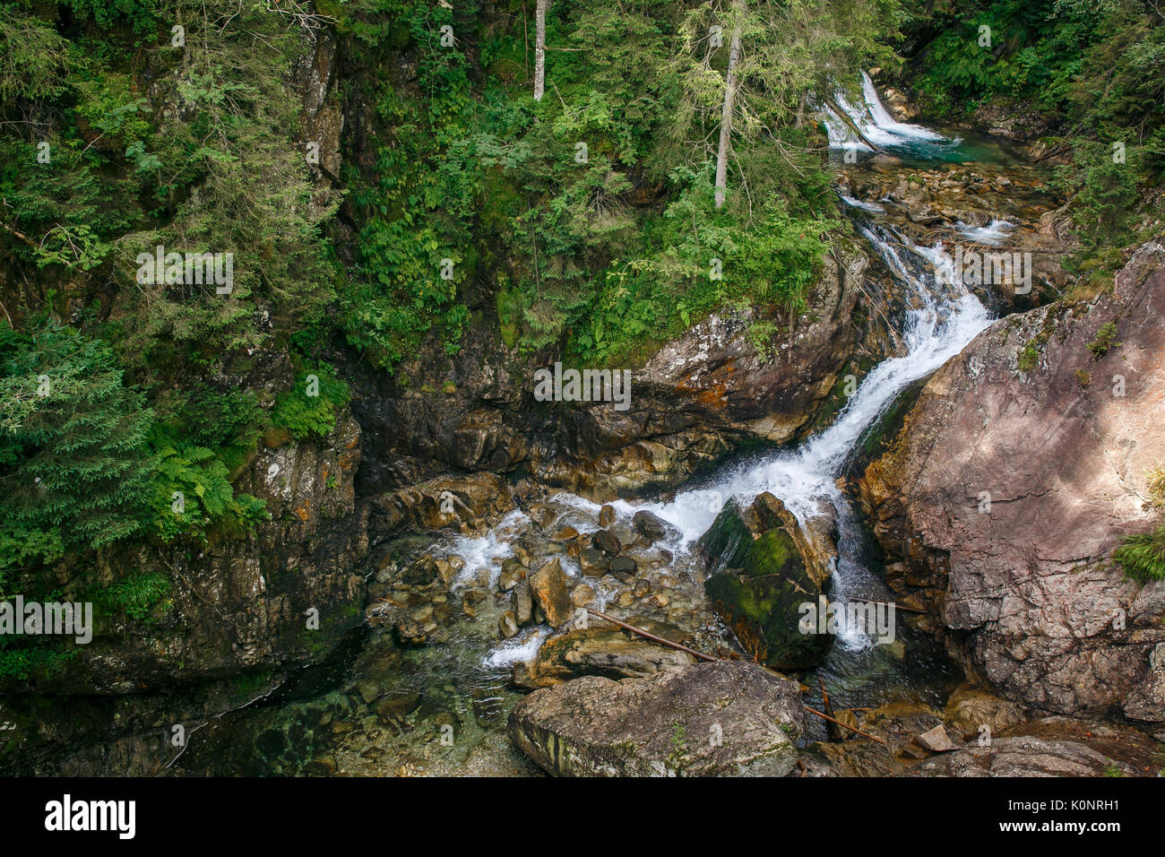 Big Tatry at Poland and Slovakia. Wild animals, beutiful nature, lakes ...