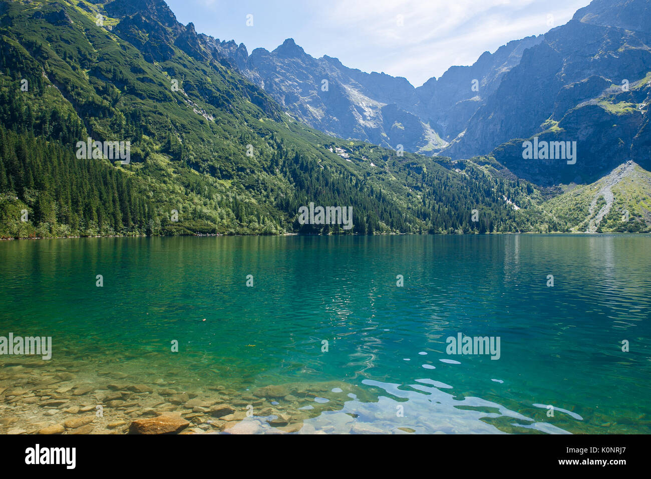 Big Tatry at Poland and Slovakia. Wild animals, beutiful nature, lakes ...