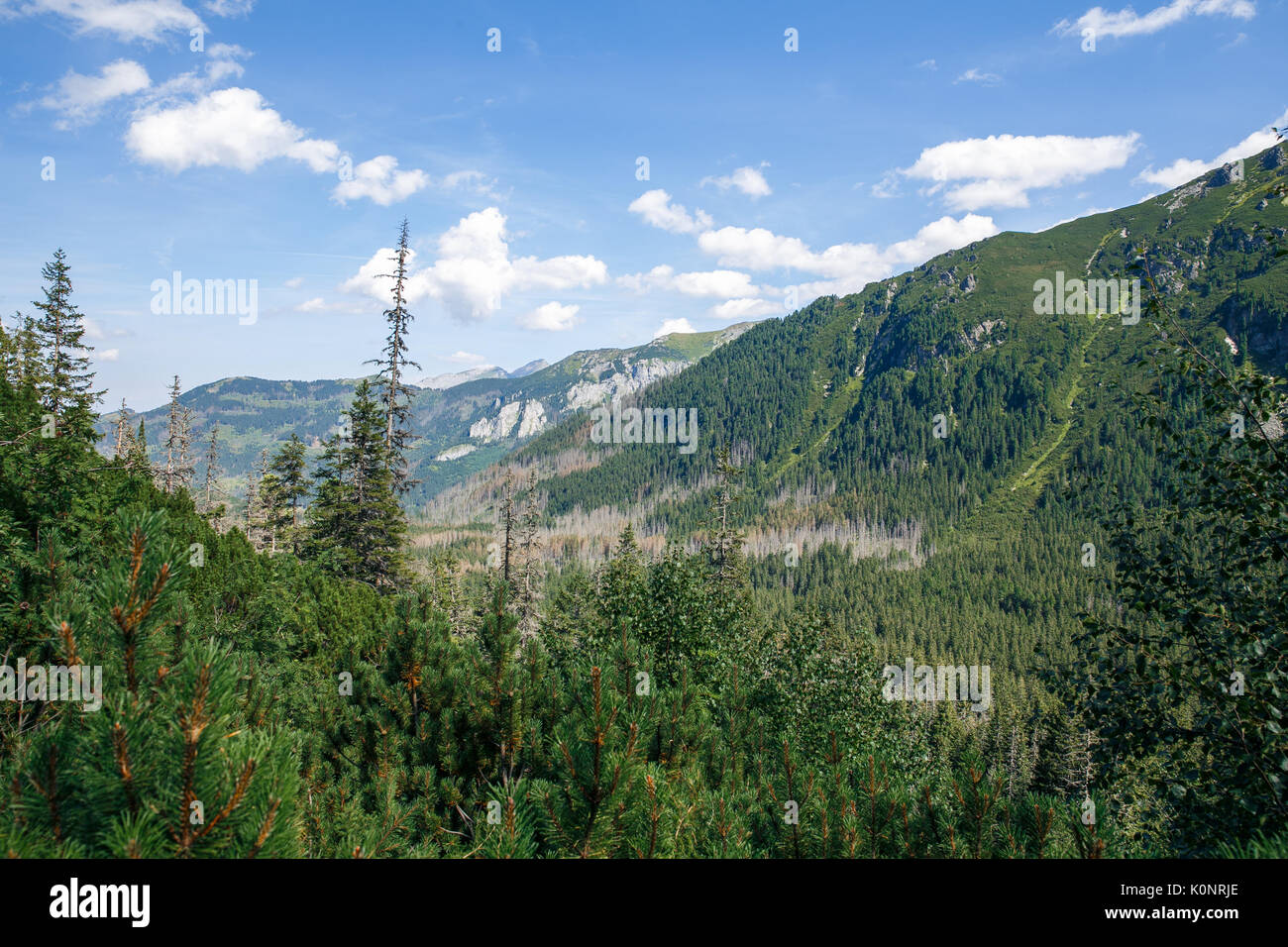 Big Tatry at Poland and Slovakia. Wild animals, beutiful nature, lakes ...
