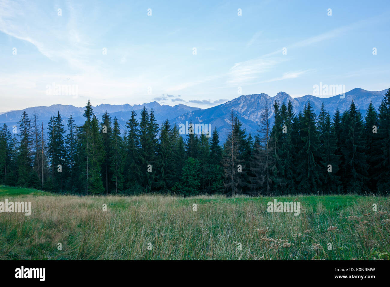 Big Tatry at Poland and Slovakia. Wild animals, beutiful nature, lakes ...