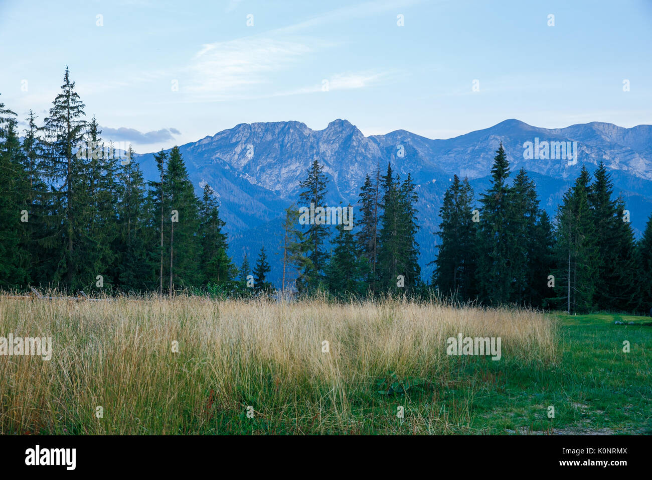 Big Tatry at Poland and Slovakia. Wild animals, beutiful nature, lakes ...