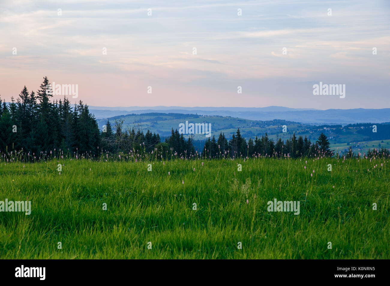 Big Tatry at Poland and Slovakia. Wild animals, beutiful nature, lakes ...