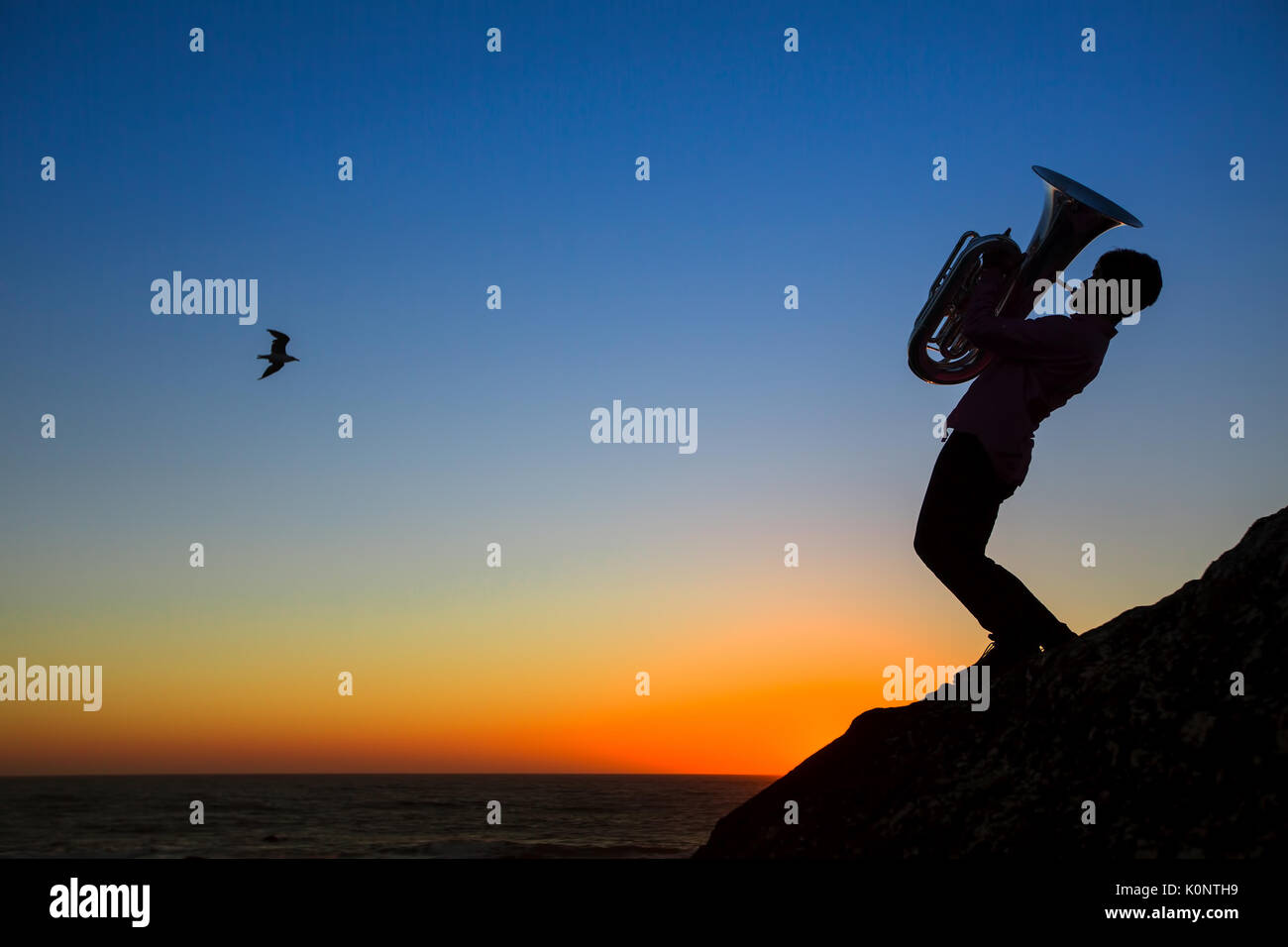 Silhouette of musician play Tuba on sea shore at amazing sunset Stock ...