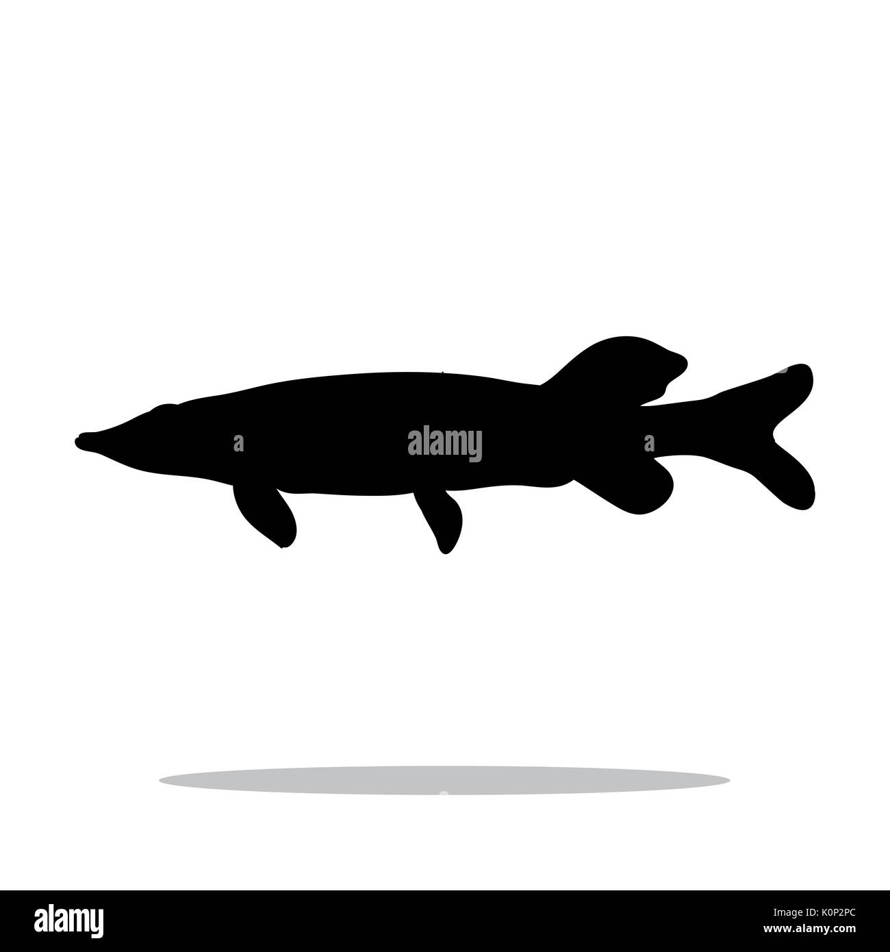 Pike fish black silhouette aquatic animal. Vector Illustrator Stock ...