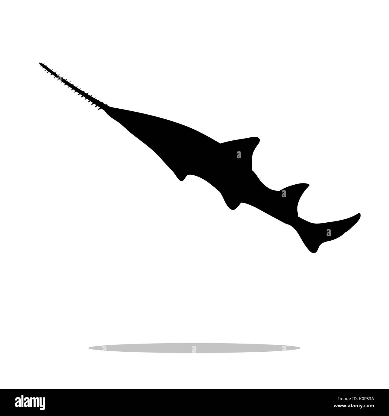 Sawfish fish black silhouette aquatic animal. Vector Illustrator Stock ...