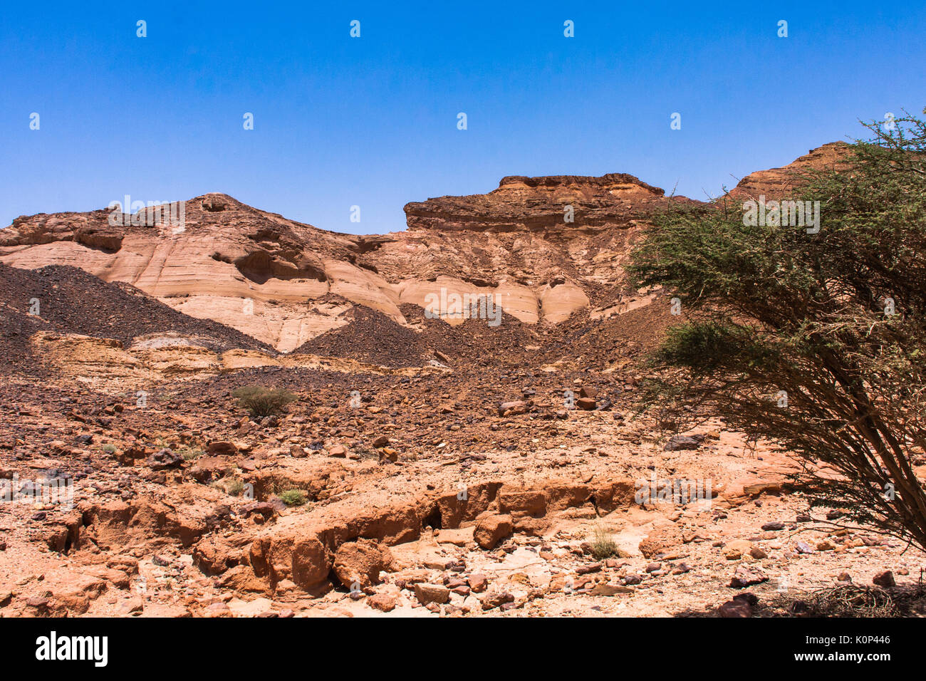 A desert landscape Stock Photo - Alamy