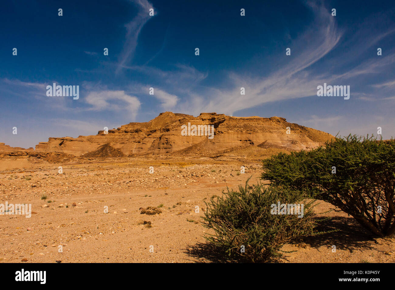 The Desert Beauty Stock Photo - Alamy