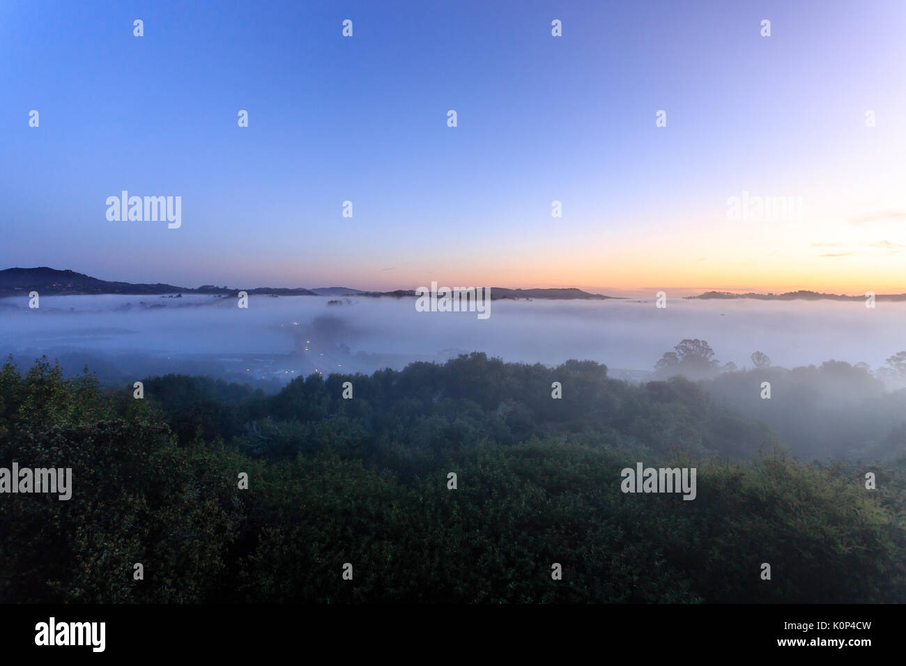 Becomes visible hi-res stock photography and images - Alamy