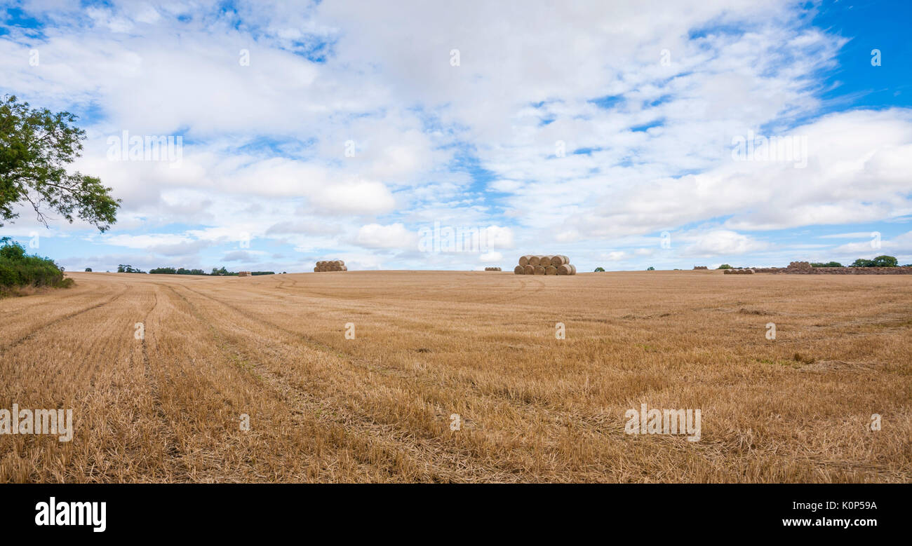 Corn bales hi-res stock photography and images - Alamy