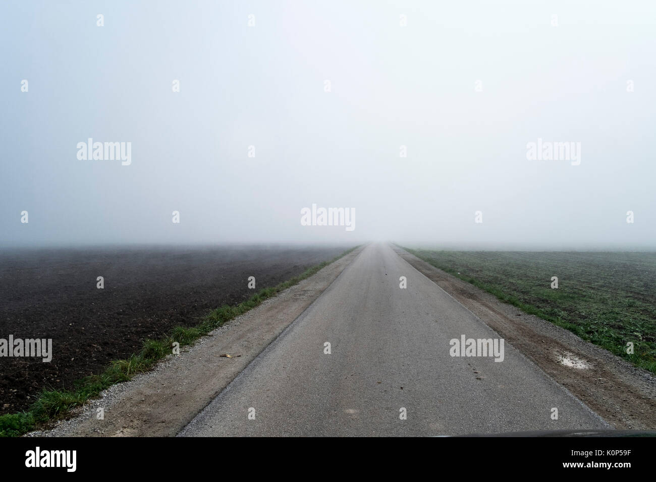 Road disappearing into fog Stock Photo - Alamy
