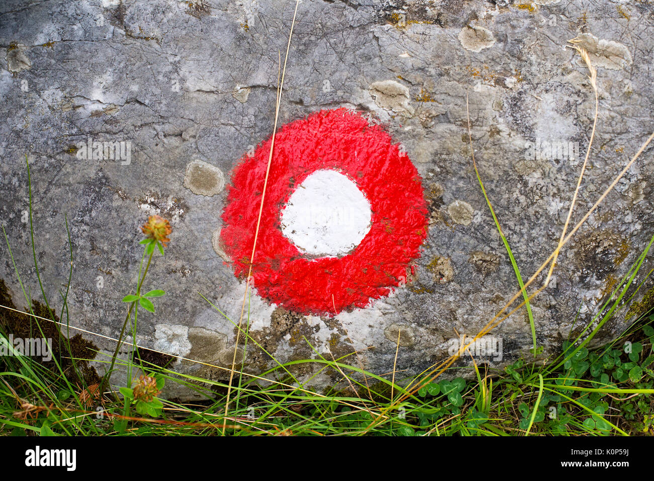 Red and white circle trail blazing sign in the forest Stock Photo - Alamy
