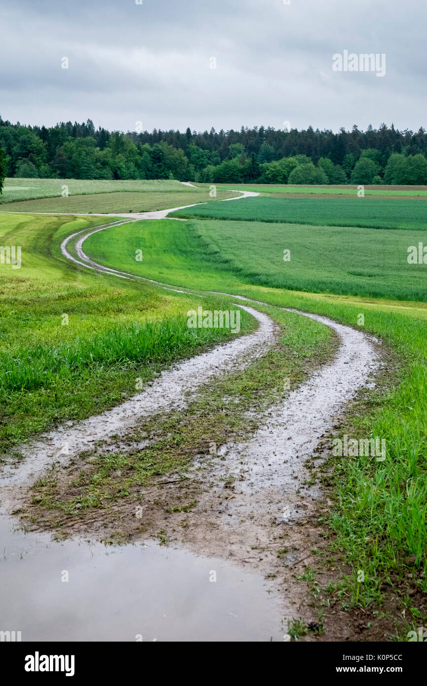 Rural road on a rainy day Stock Photo - Alamy