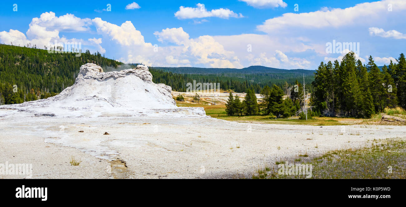 Landscape of Castle geyser, Yellowstone national park, USA Stock Photo ...