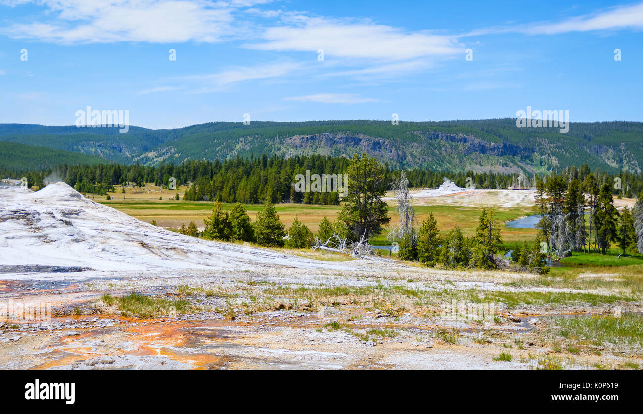 Castle Geyser. Yellowstone National Park. Upper Geyser Basin Stock ...