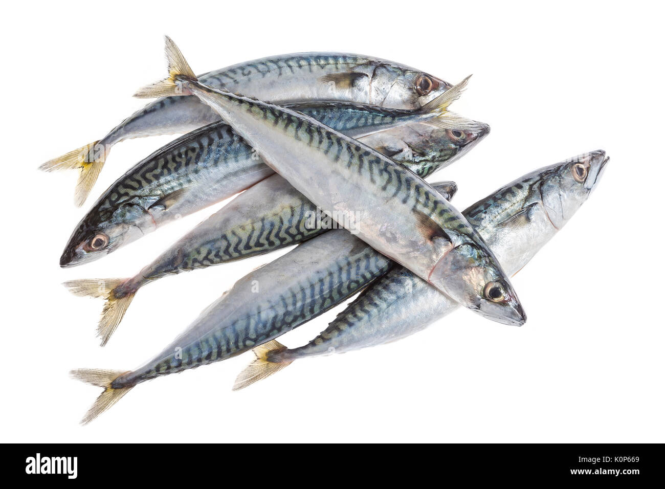 group of Fish mackerel Stock Photo - Alamy